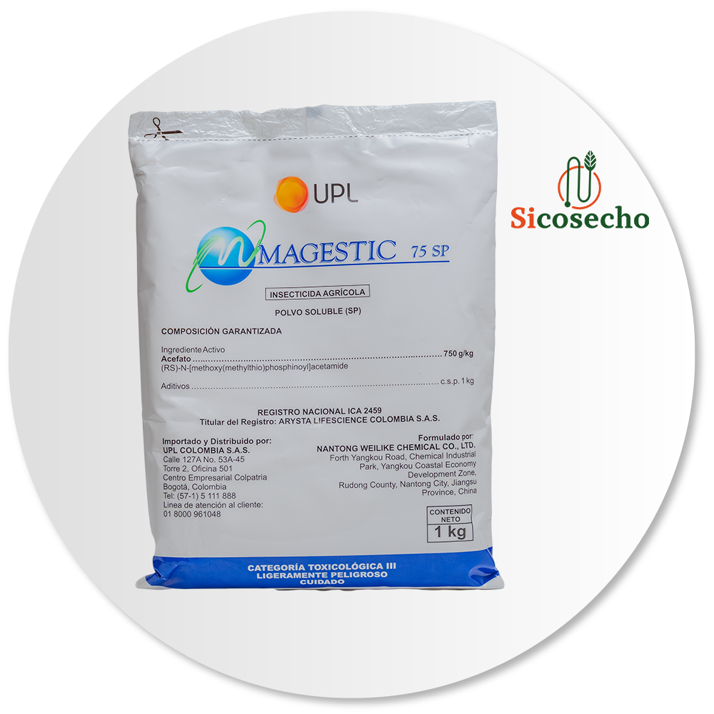 MAGESTIC – Sicosecho